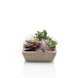Composizione floreale di succulente artificiale GRINGA, vaso di ...
