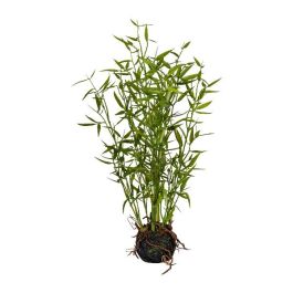 Pianta artificiale Bambù FROHAN, zolla, radici, 40 cm