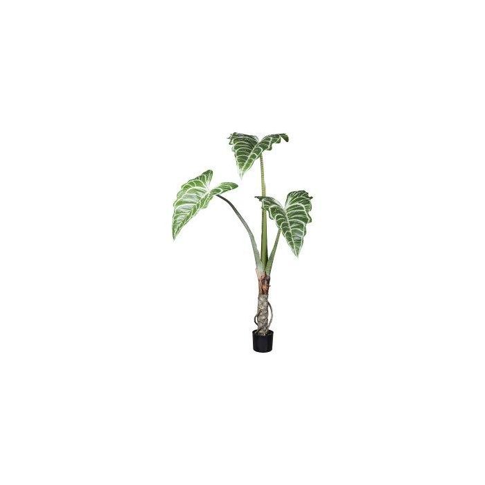 Pianta artificiale Colocasia TAHRON, radici, verde-bianco, 185 cm