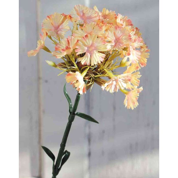 Garofano del poeta artificiale CARMEN, giallo-rosa, 70cm