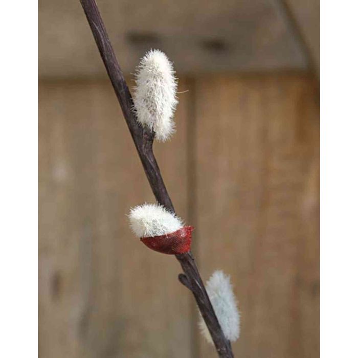 Ramo di salice artificiale SORA con fiori, marrone, 110cm