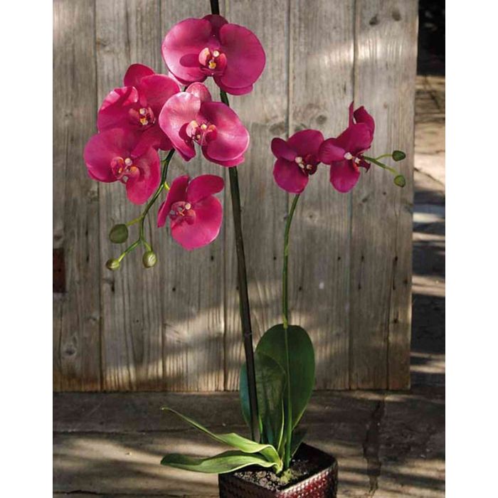 Orchidea phalaenopsis artificiale XIUMARA, cestino di vimini, viola, 80cm