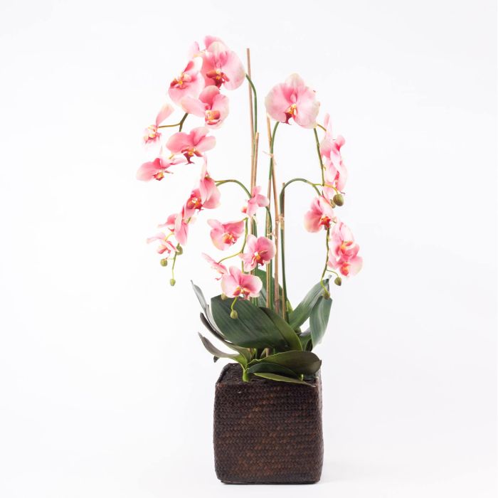 Orchidea phalaenopsis artificiale XIUMARA, cesto di vimini, rosa-giallo ...