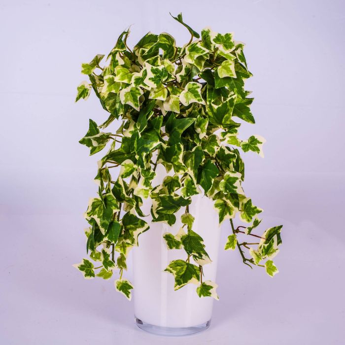 Tralcio di edera sintetica MAJA su stelo, verde-bianco, 30cm - Piante ...