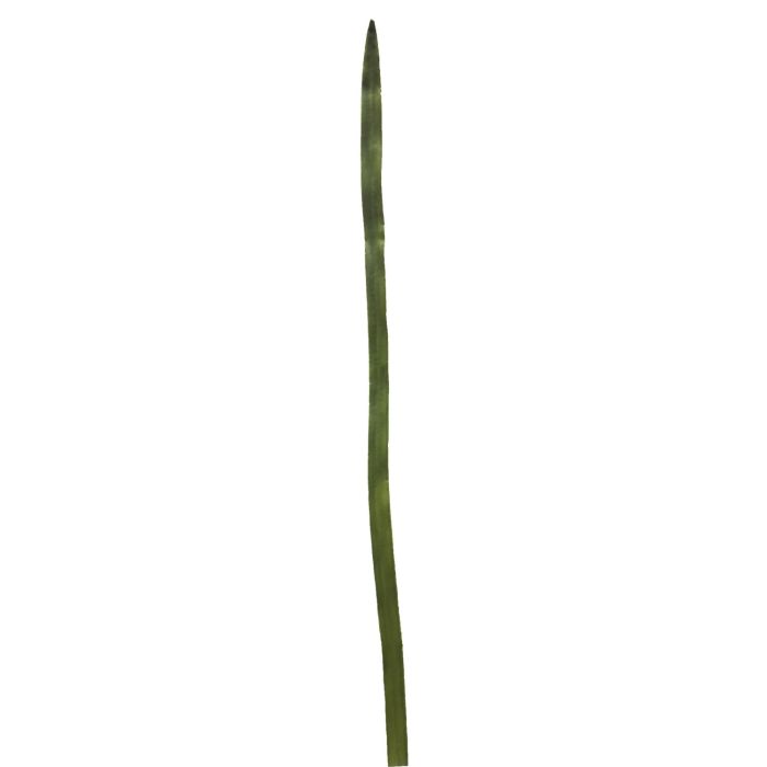 Canna artificiale YUTING, verde, 100 cm