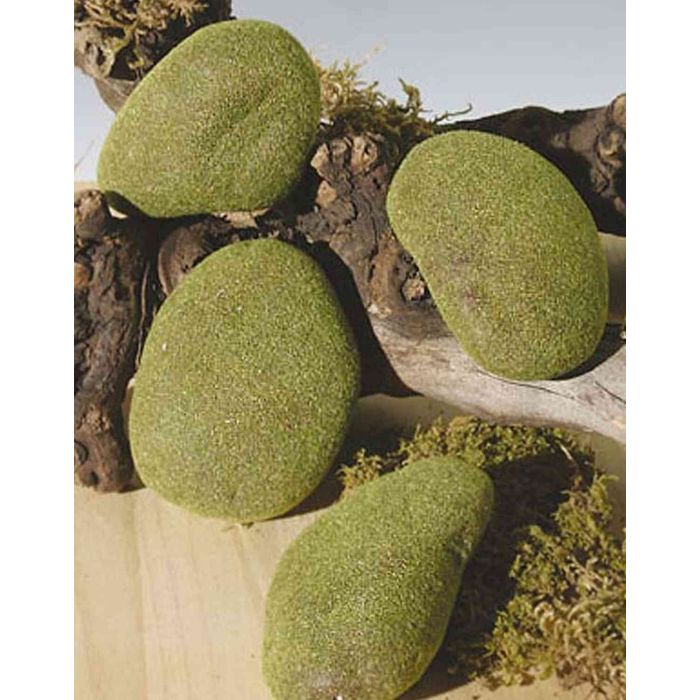 Pietre di muschio di plastica DARLEEN, 4 pezzi, verde-marrone, 8cm