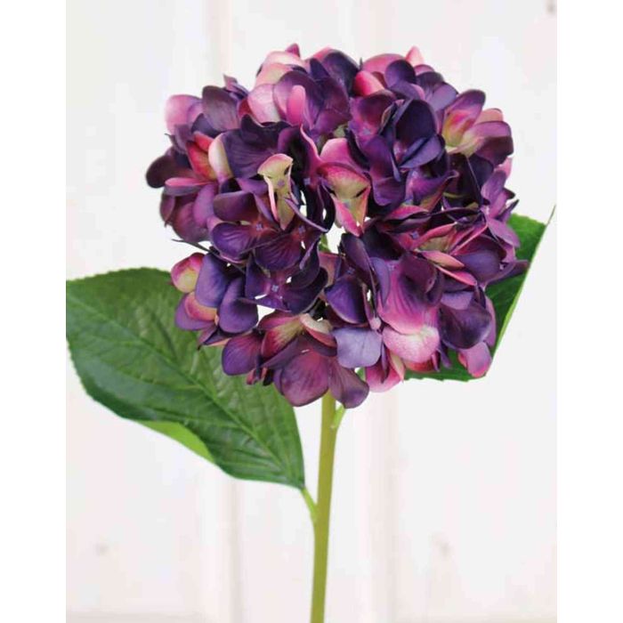 Ortensia finta TAJANA, viola-rosa, 60cm