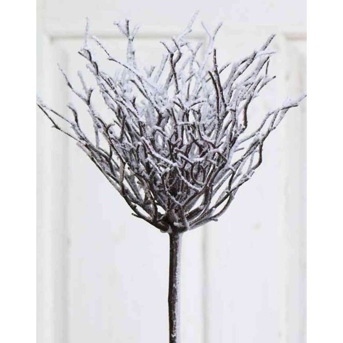 Ramo di corallo artificiale MARON, innevato, marrone, 60cm