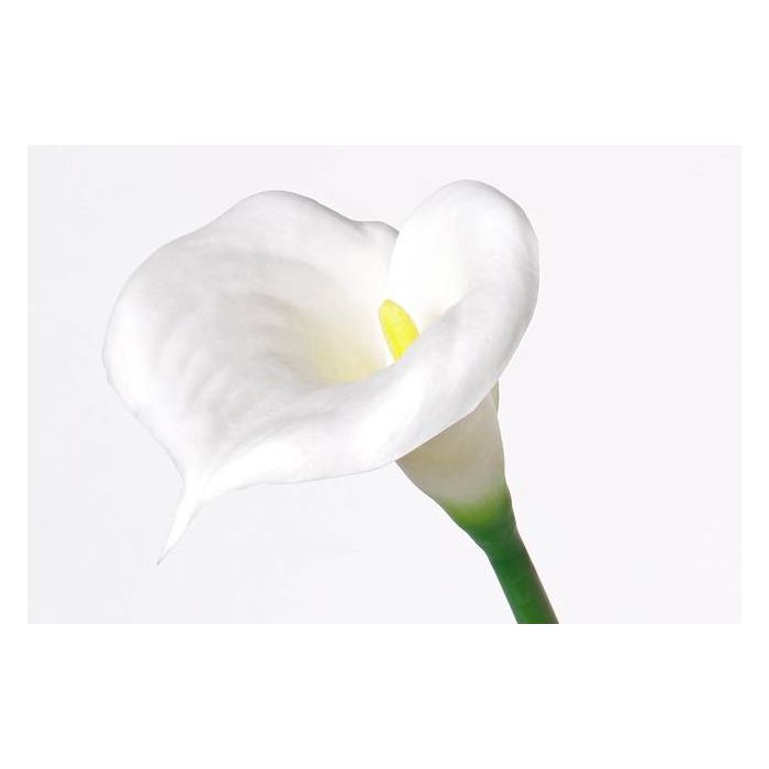 Calla artificiale CRESSIDA, bianco, 75cm, Ø14x15cm - Fiori artificiali