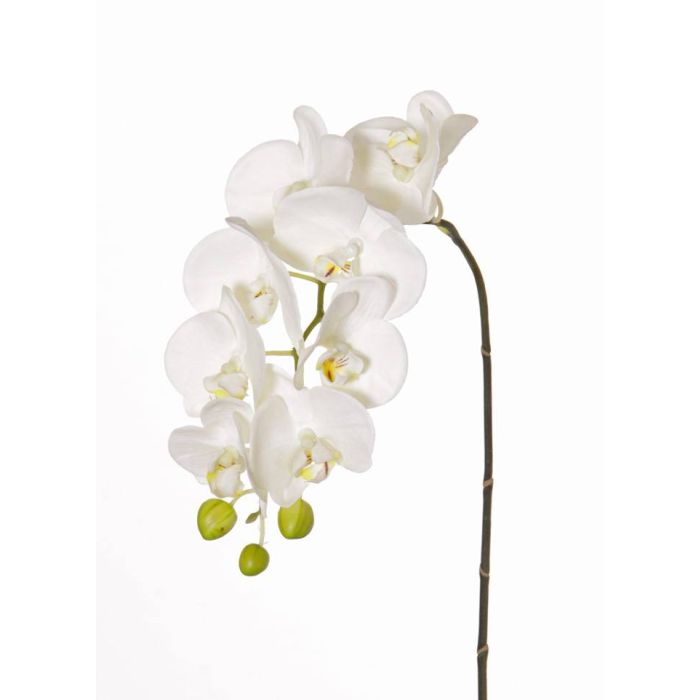 Ramo di orchidee phalaenopsis artificiale ENISA, bianco, 45cm