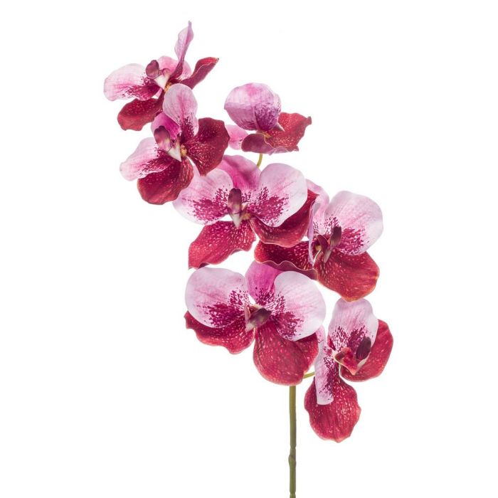 Ramo artificiale di orchidee vanda CAMPO, rosa-fucsia, 100cm