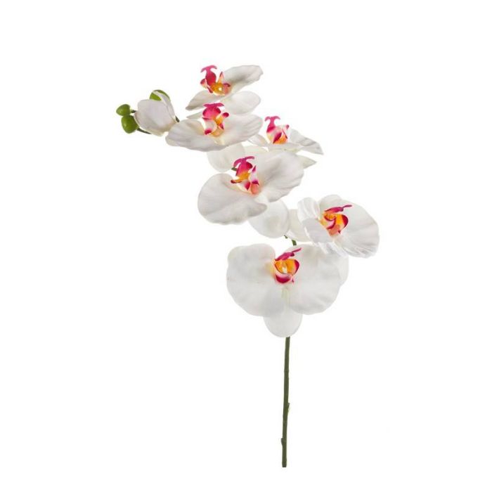 Ramo di orchidee phalaenopsis di plastica BASTET, bianco-fucsia, 80cm