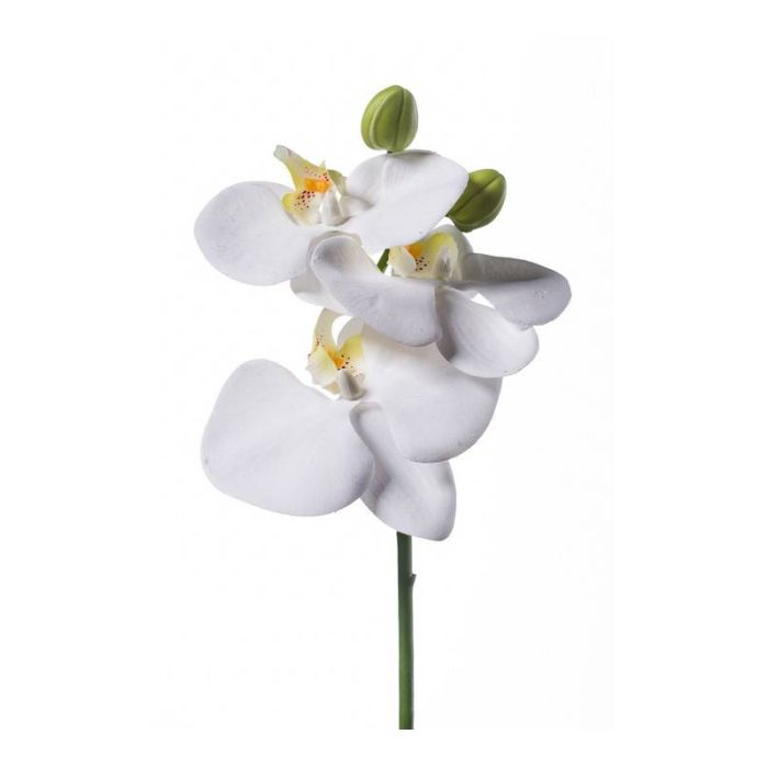 Ramo di orchidee phalaenopsis artificiali DANIELA, bianco, 25cm