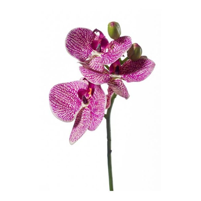 Ramo di orchidee phalaenopsis artificiali DANIELA, fucsia, 25cm