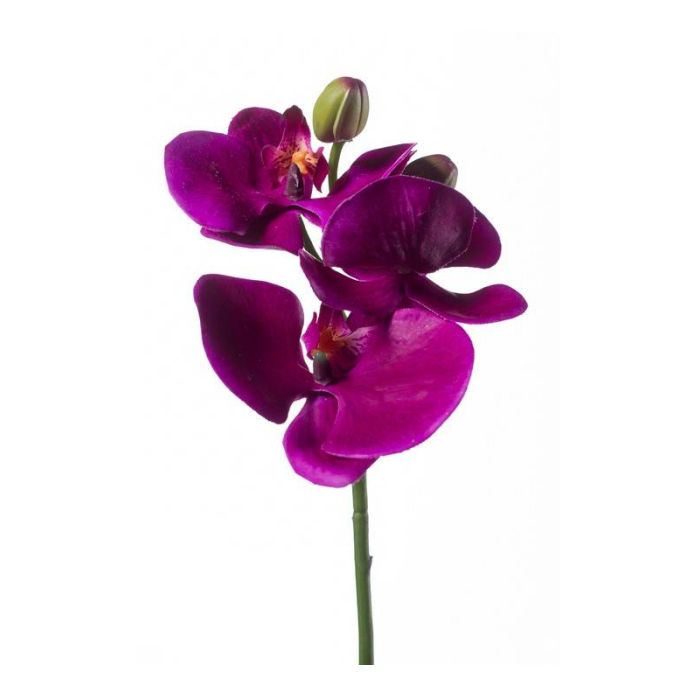 Ramo di orchidee phalaenopsis artificiali DANIELA, viola, 25cm