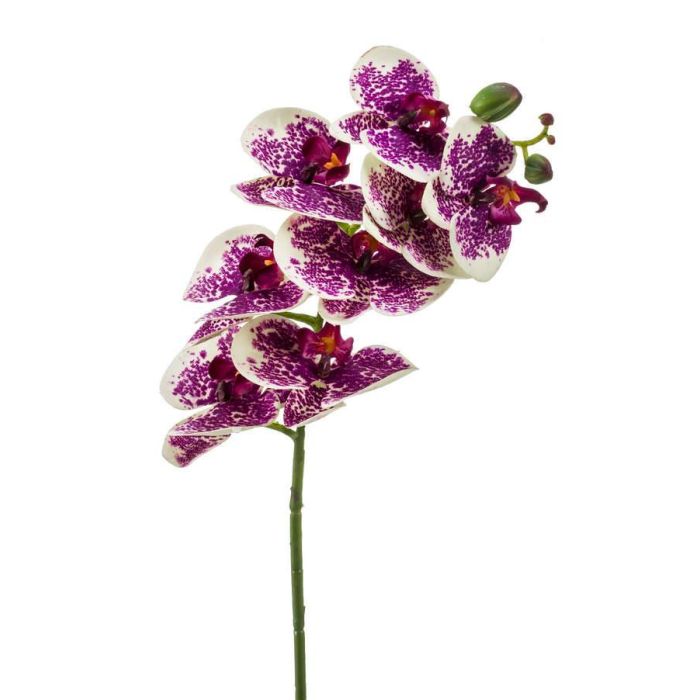 Ramo di orchidee phalaenopsis artificiale MERTI, violetto-bianco, 70cm