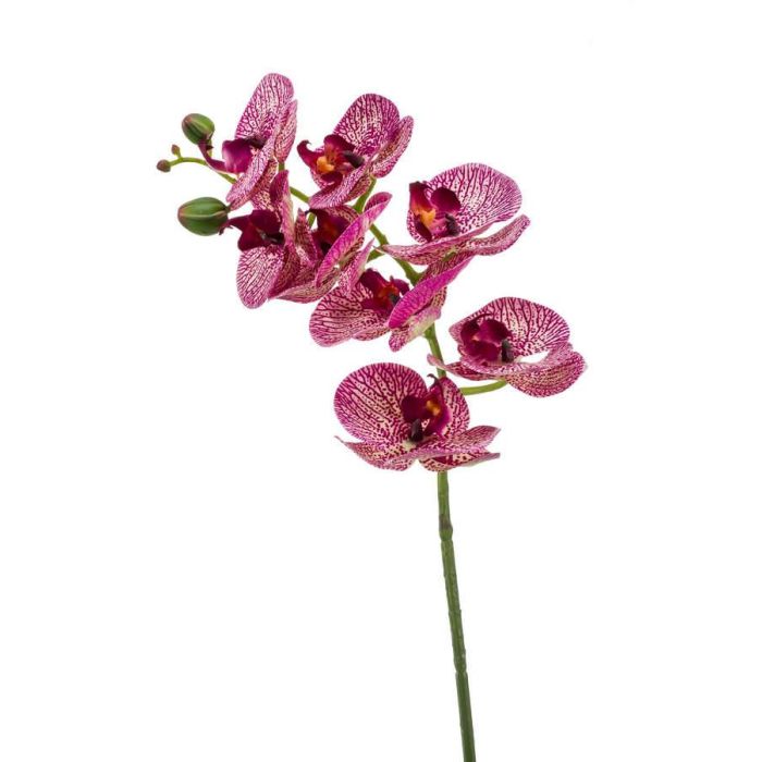 Ramo di orchidee phalaenopsis artificiale MERTI, fucsia-bianco, 70cm