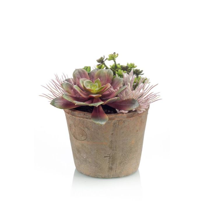 Composizione floreale di succulente artificiale GRINGA, vaso di ...