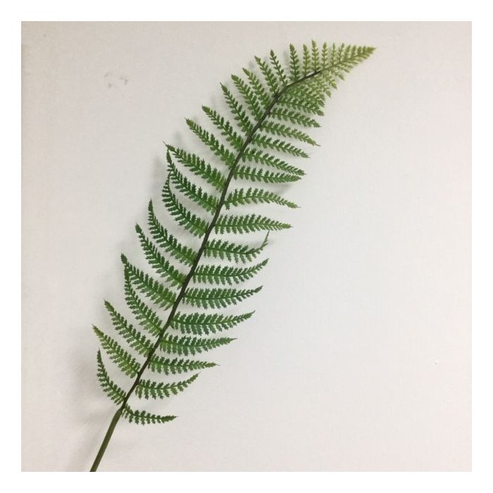 Foglia di felce di boston in plastica CODY, verde, 100cm